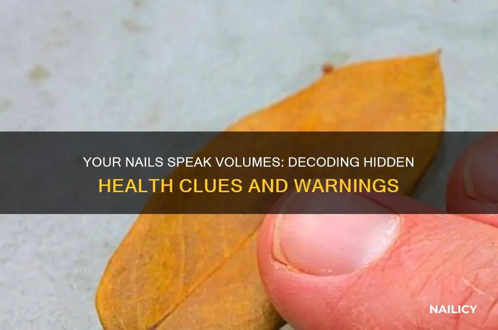 Your Nails Speak Volumes: Decoding Hidden Health Clues And Warnings ...