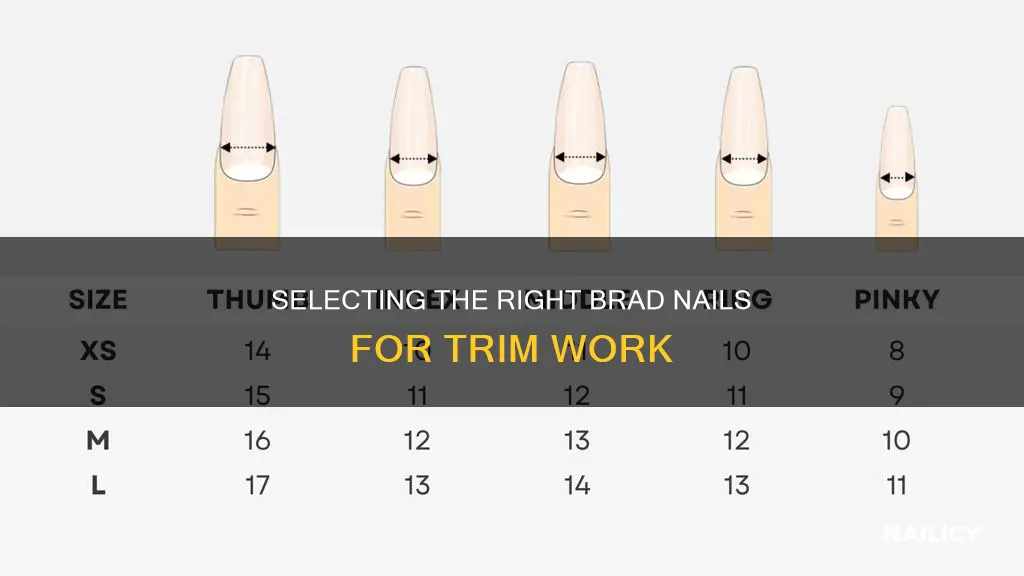Selecting The Right Brad Nails For Trim Work | Nailicy