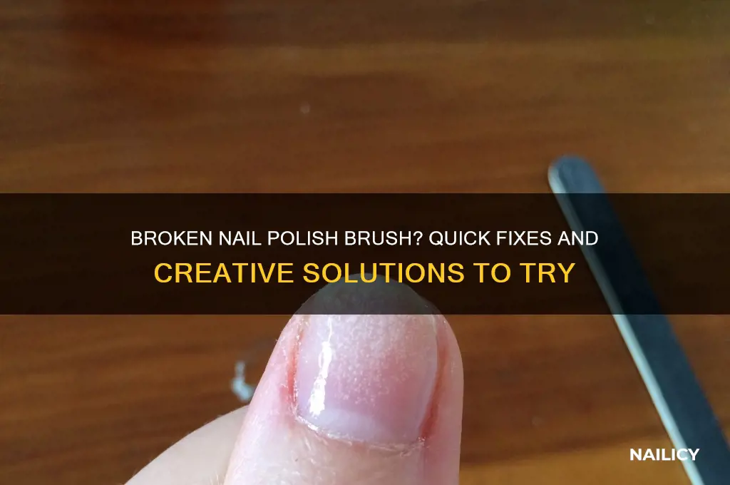 Broken Nail Polish Brush? Quick Fixes And Creative Solutions To Try ...