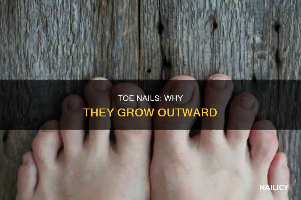 Toe Nails: Why They Grow Outward | Nailicy