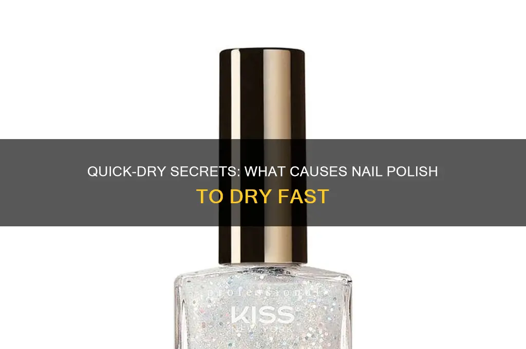Quick-Dry Secrets: What Causes Nail Polish To Dry Fast | Nailicy
