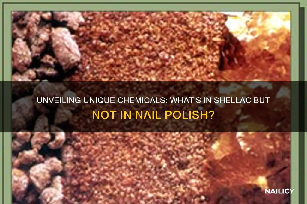 Unveiling Unique Chemicals: What's In Shellac But Not In Nail Polish ...