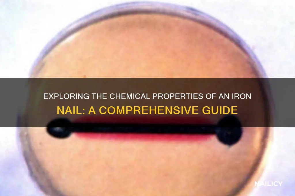 Exploring The Chemical Properties Of An Iron Nail: A Comprehensive ...