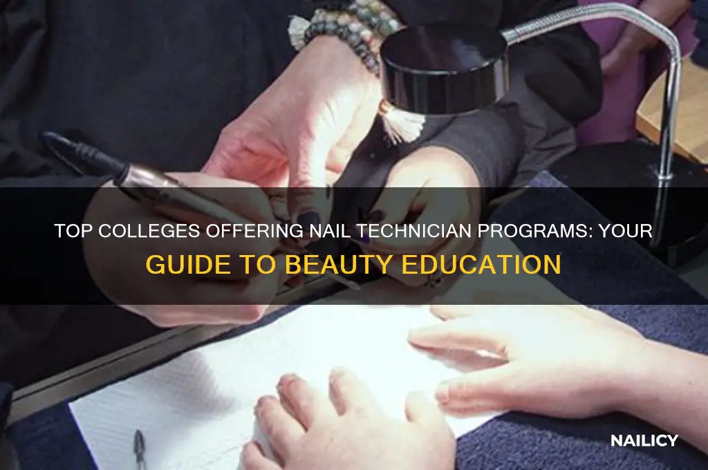 Top Colleges Offering Nail Technician Programs: Your Guide To Beauty ...