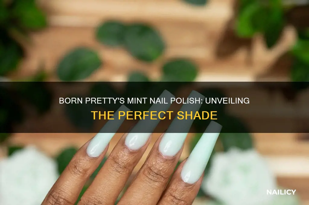 Born Pretty's Mint Nail Polish: Unveiling The Perfect Shade | Nailicy