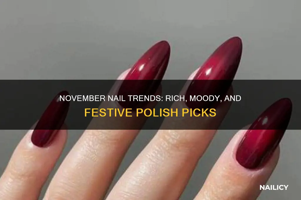 November Nail Trends: Rich, Moody, And Festive Polish Picks | Nailicy