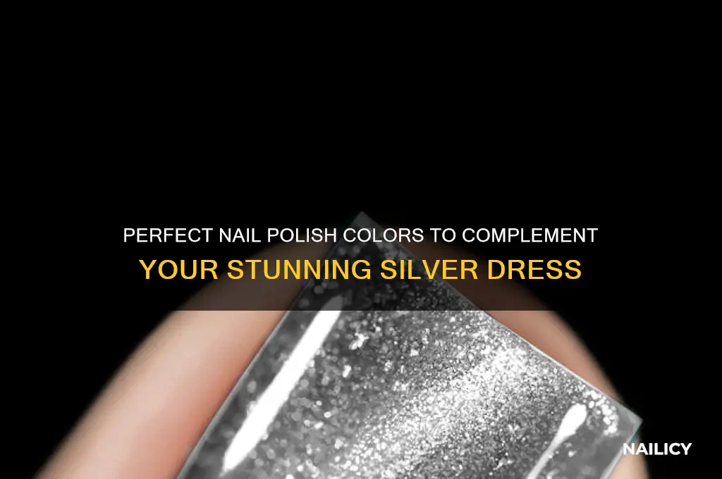 Perfect Nail Polish Colors To Complement Your Stunning Silver Dress ...