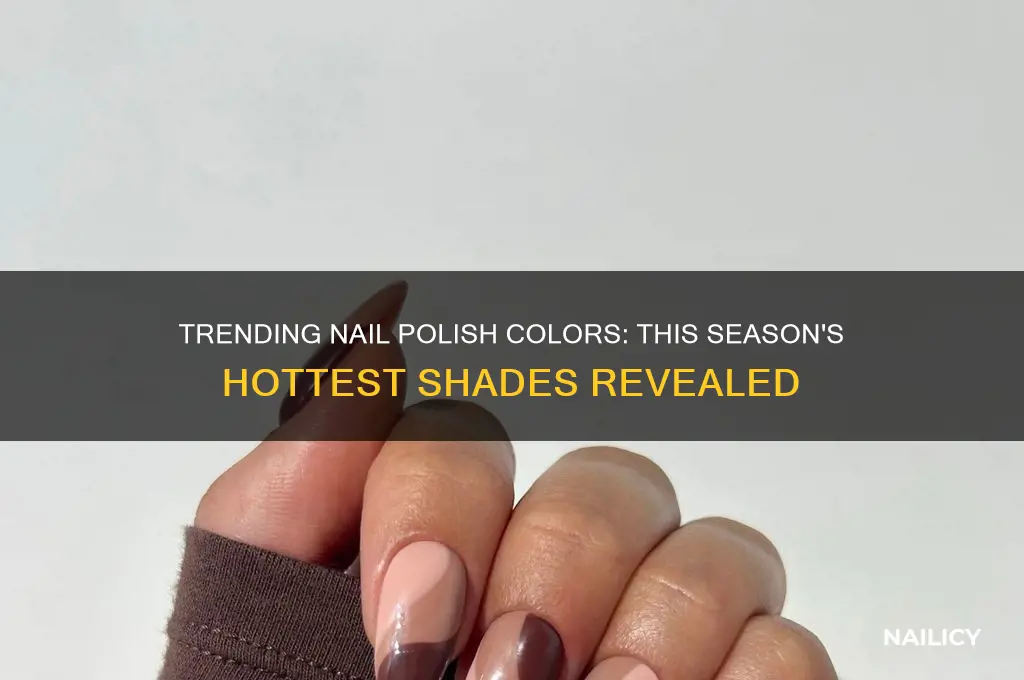 Trending Nail Polish Colors: This Season's Hottest Shades Revealed ...
