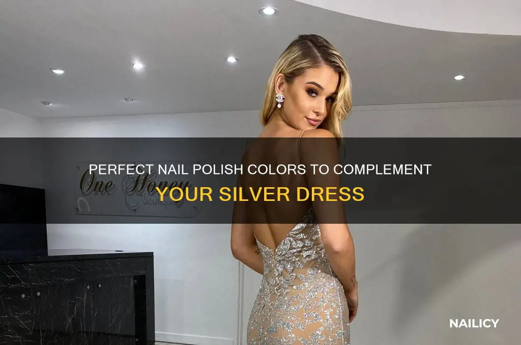 Perfect Nail Polish Colors To Complement Your Silver Dress | Nailicy