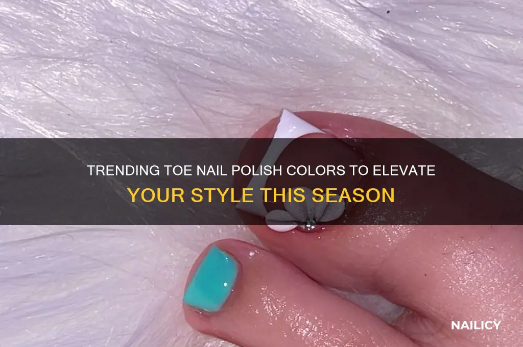 Trending Toe Nail Polish Colors To Elevate Your Style This Season | Nailicy