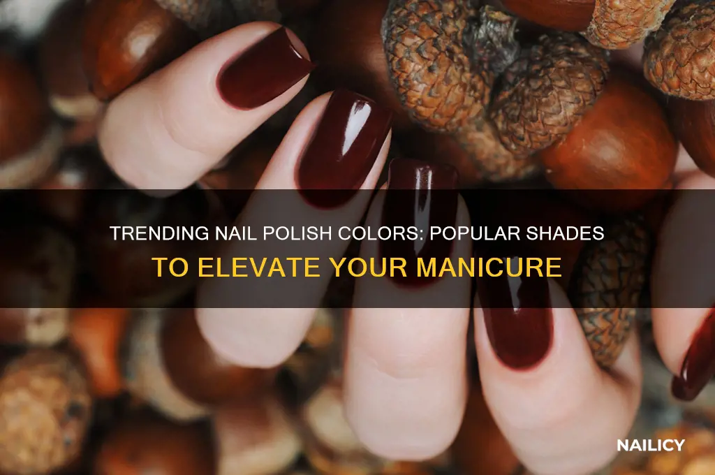 Trending Nail Polish Colors: Popular Shades To Elevate Your Manicure ...