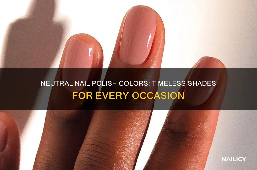 Neutral Nail Polish Colors: Timeless Shades For Every Occasion | Nailicy
