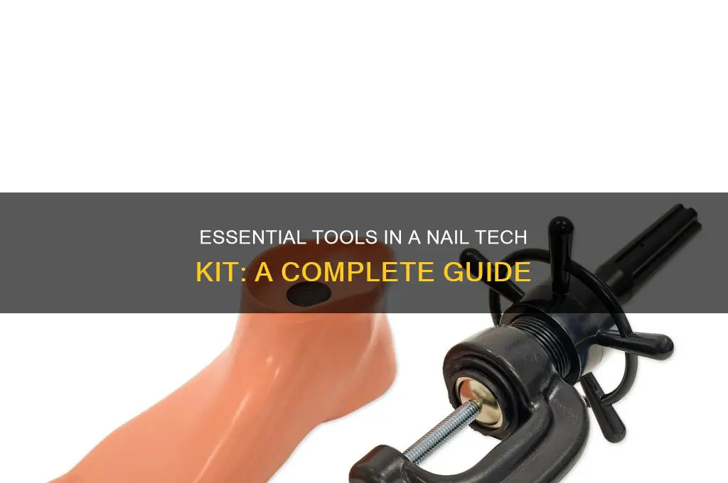 Essential Tools In A Nail Tech Kit: A Complete Guide | Nailicy