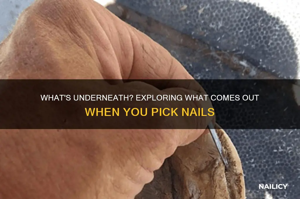 What's Underneath? Exploring What Comes Out When You Pick Nails | Nailicy