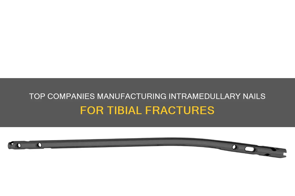 Top Companies Manufacturing Intramedullary Nails For Tibial Fractures ...