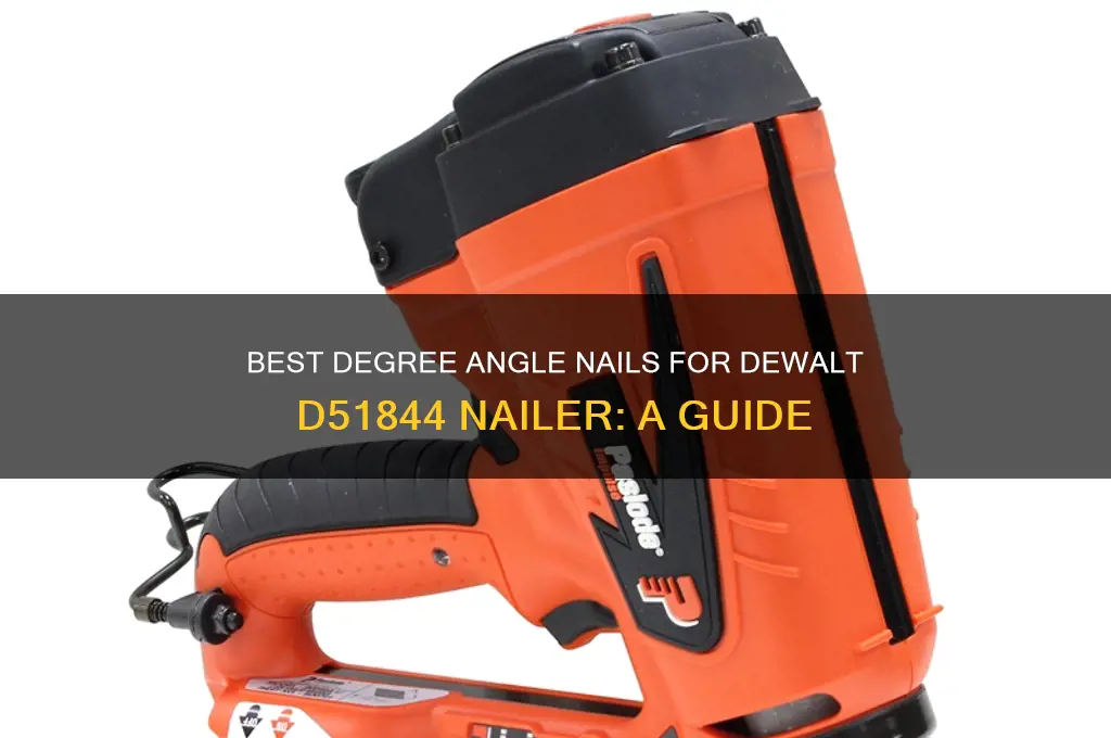 Best Degree Angle Nails For Dewalt D51844 Nailer: A Guide | Nailicy