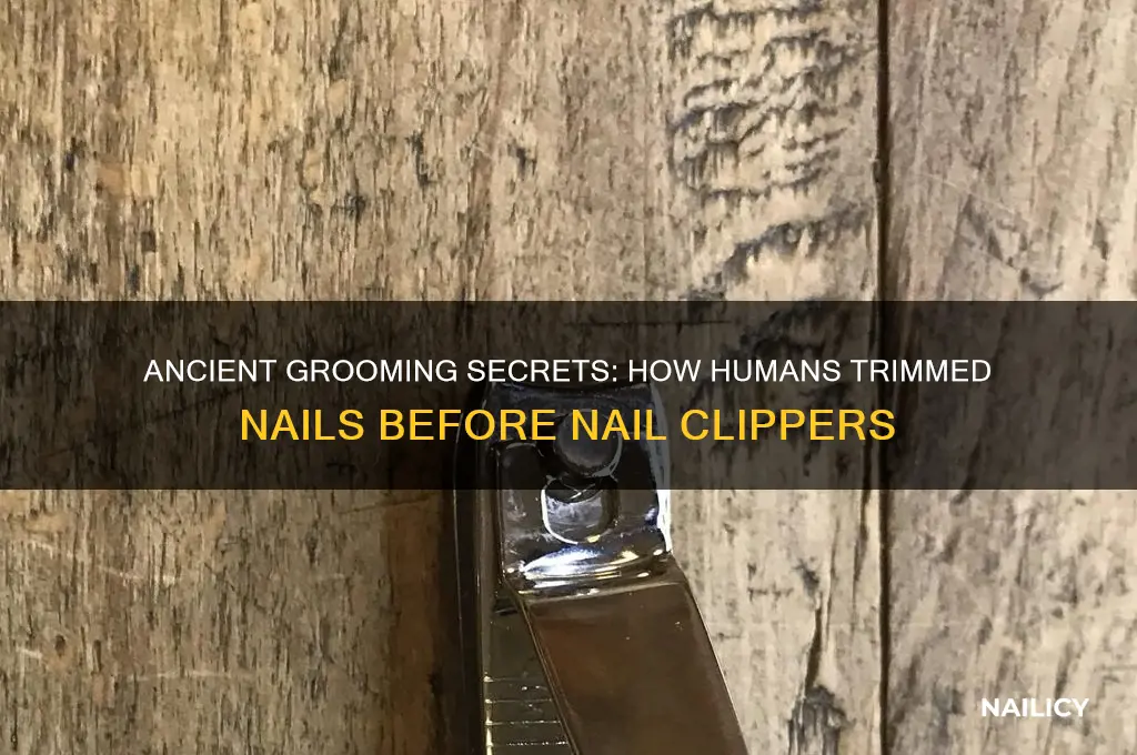 Ancient Grooming Secrets: How Humans Trimmed Nails Before Nail Clippers ...
