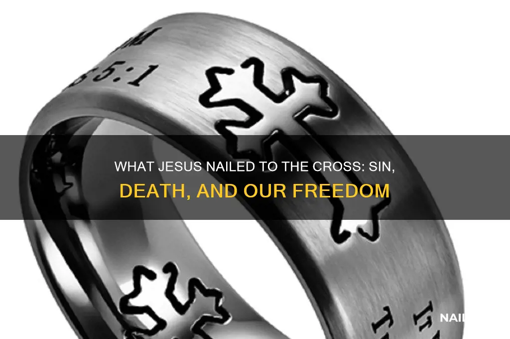 What Jesus Nailed To The Cross: Sin, Death, And Our Freedom | Nailicy