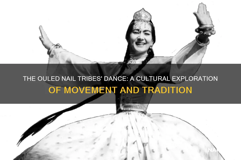 The Ouled Nail Tribes' Dance: A Cultural Exploration Of Movement And ...