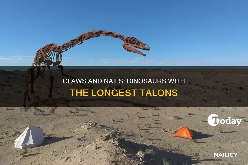Claws And Nails: Dinosaurs With The Longest Talons | Nailicy