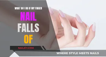 The Science Of Nails: How They Attach To Fingers | Nailicy