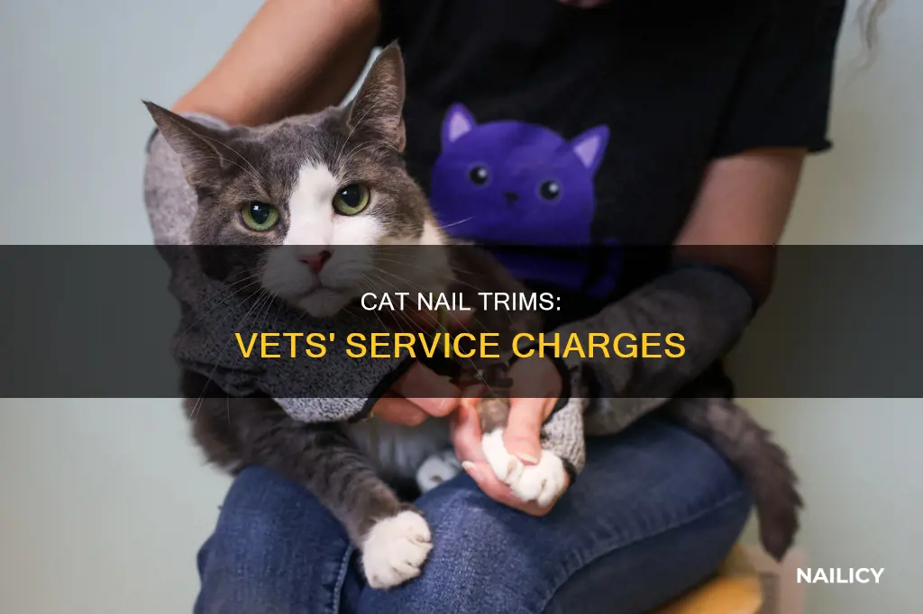 Cat Nail Trims: Vets' Service Charges | Nailicy