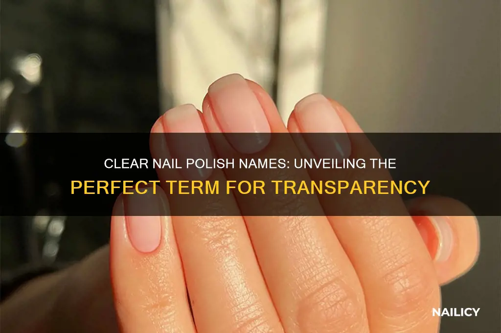 Clear Nail Polish Names: Unveiling The Perfect Term For Transparency ...