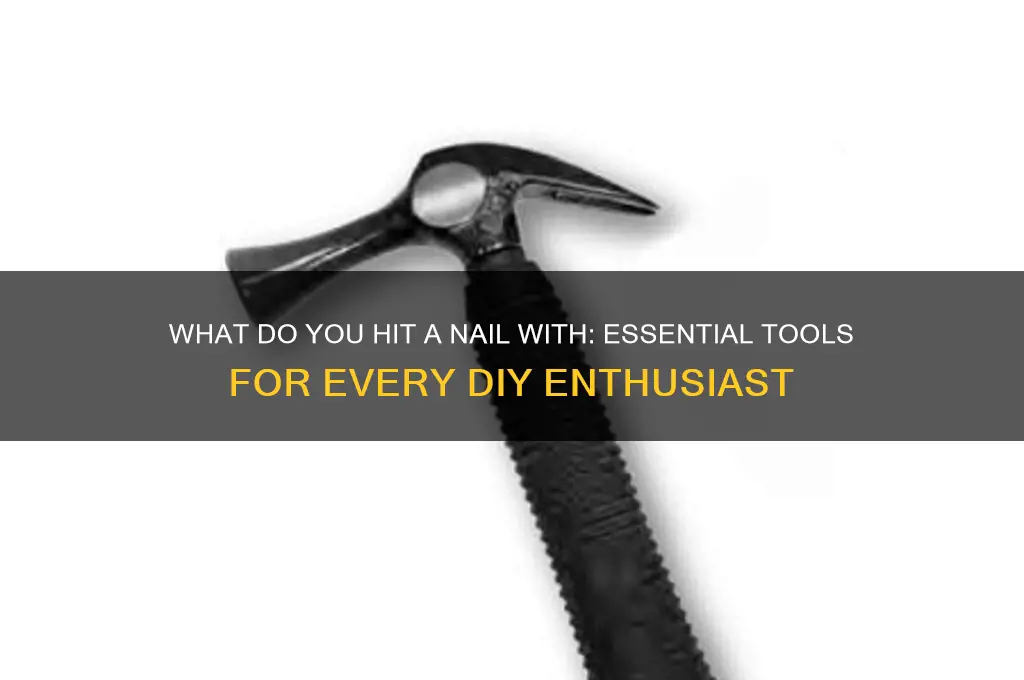 What Do You Hit A Nail With: Essential Tools For Every Diy Enthusiast ...