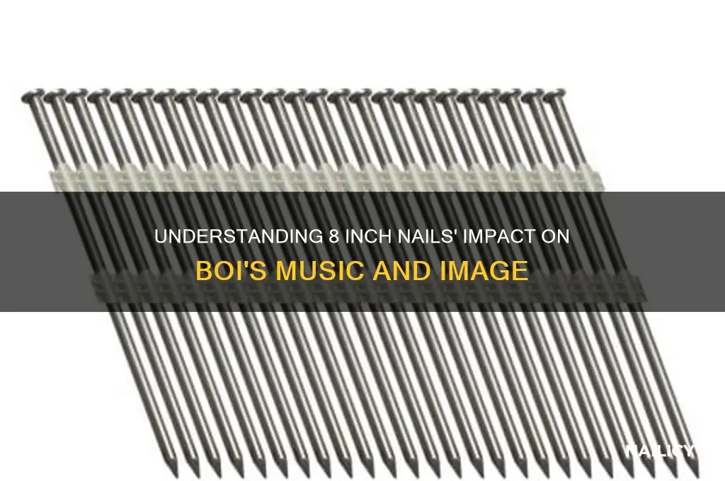 Understanding 8 Inch Nails' Impact On Boi's Music And Image | Nailicy