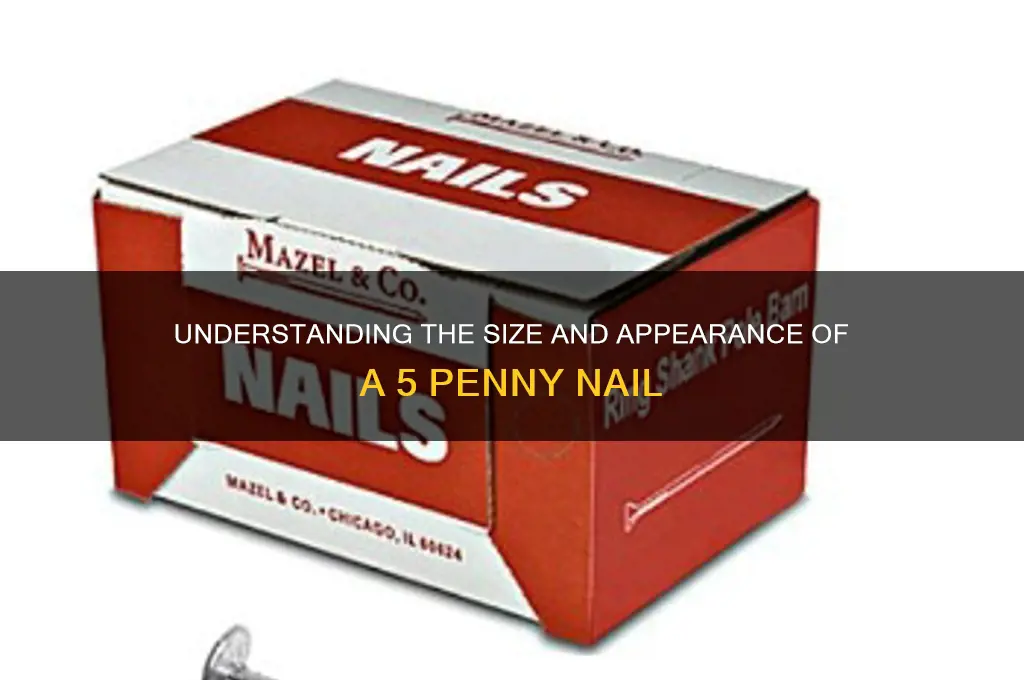 Understanding The Size And Appearance Of A 5 Penny Nail | Nailicy