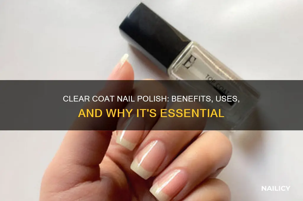Clear Coat Nail Polish: Benefits, Uses, And Why It's Essential | Nailicy