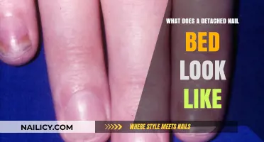 Understanding Gamma Nail Appearance: A Visual Guide To Its Design | Nailicy