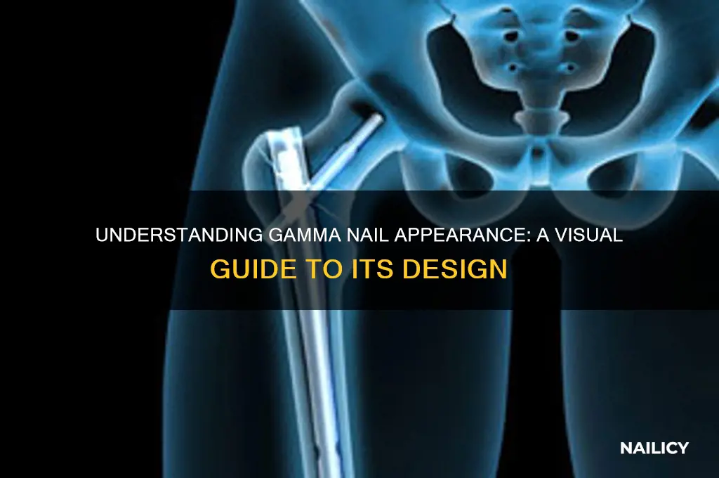Understanding Gamma Nail Appearance: A Visual Guide To Its Design | Nailicy
