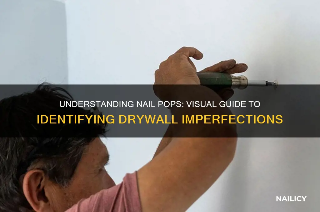 Understanding Nail Pops: Visual Guide To Identifying Drywall ...