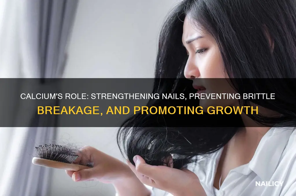 Calcium's Role: Strengthening Nails, Preventing Brittle Breakage, And ...
