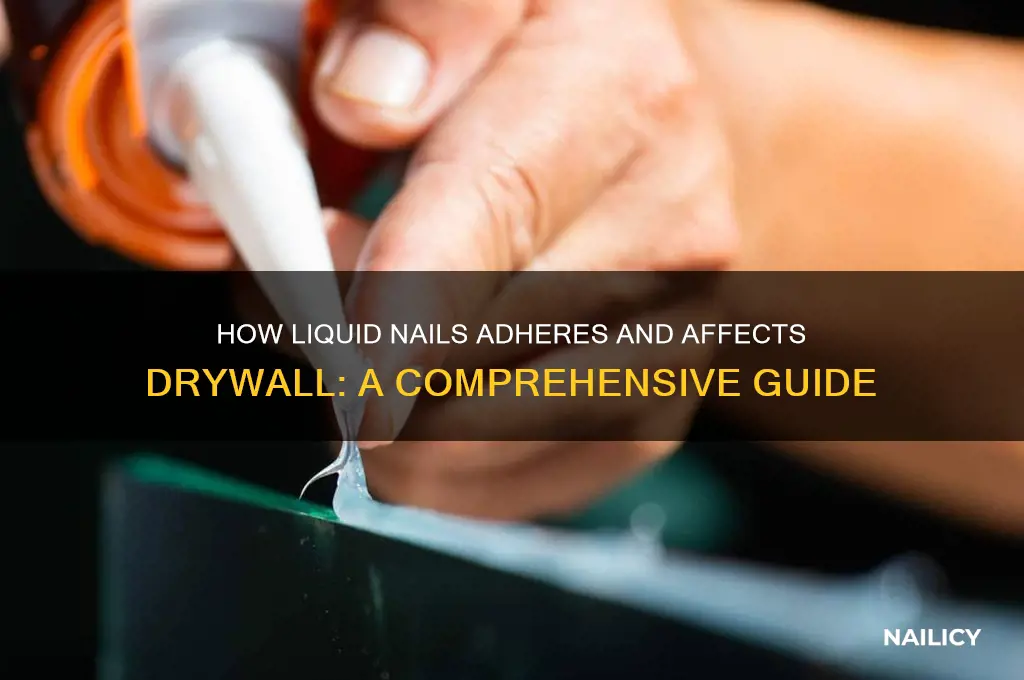 How Liquid Nails Adheres And Affects Drywall: A Comprehensive Guide ...