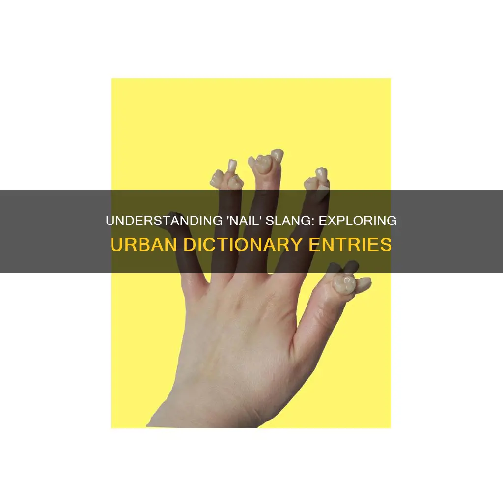 Understanding 'Nail' Slang: Exploring Urban Dictionary Entries | Nailicy