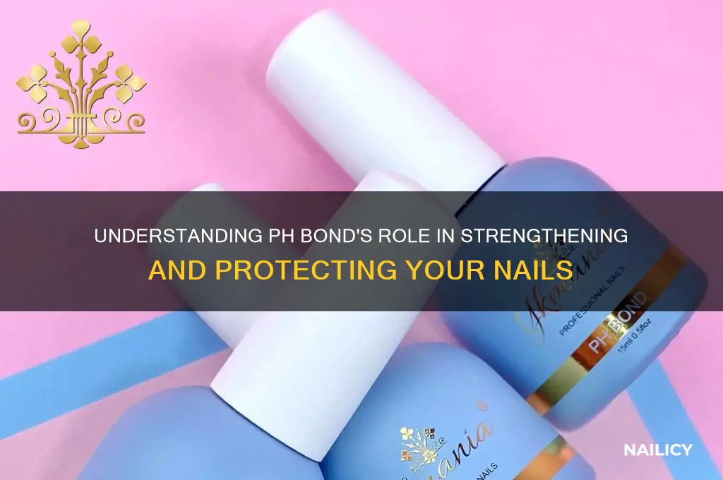 Understanding Ph Bond's Role In Strengthening And Protecting Your Nails ...