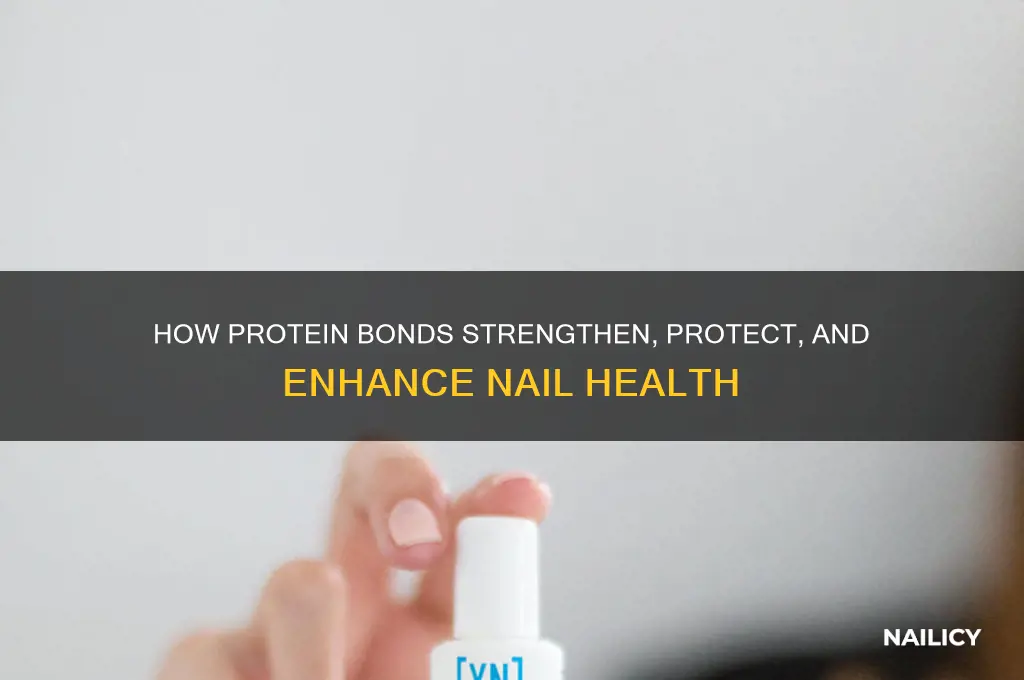 How Protein Bonds Strengthen, Protect, And Enhance Nail Health | Nailicy