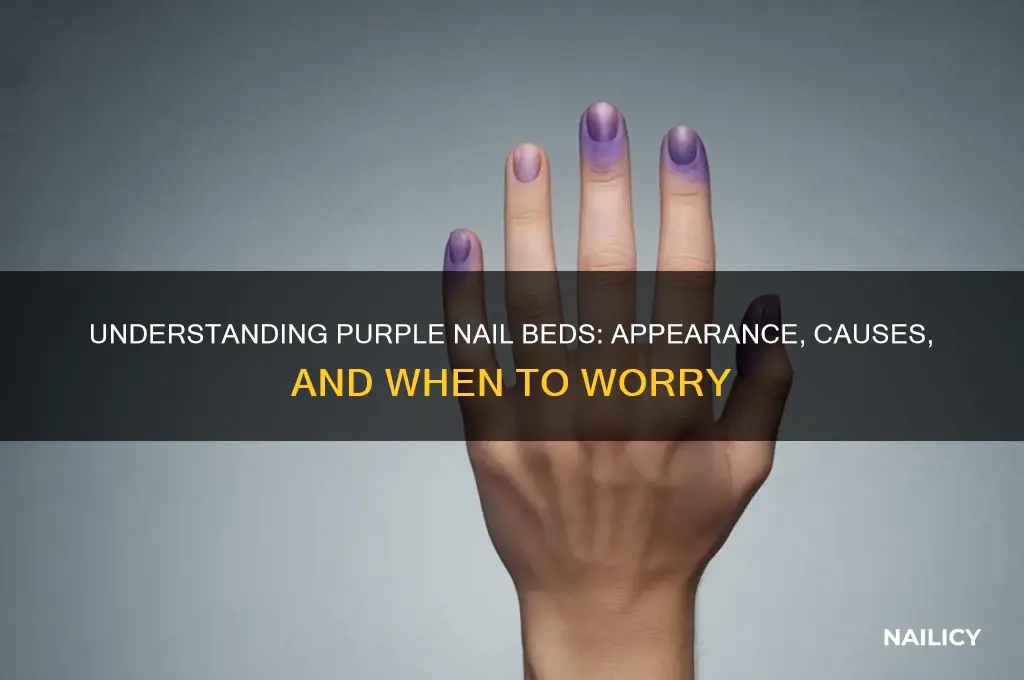 Understanding Purple Nail Beds: Appearance, Causes, And When To Worry ...