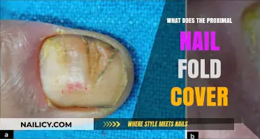 Understanding The Proximal Nail Fold: Its Function And Coverage ...