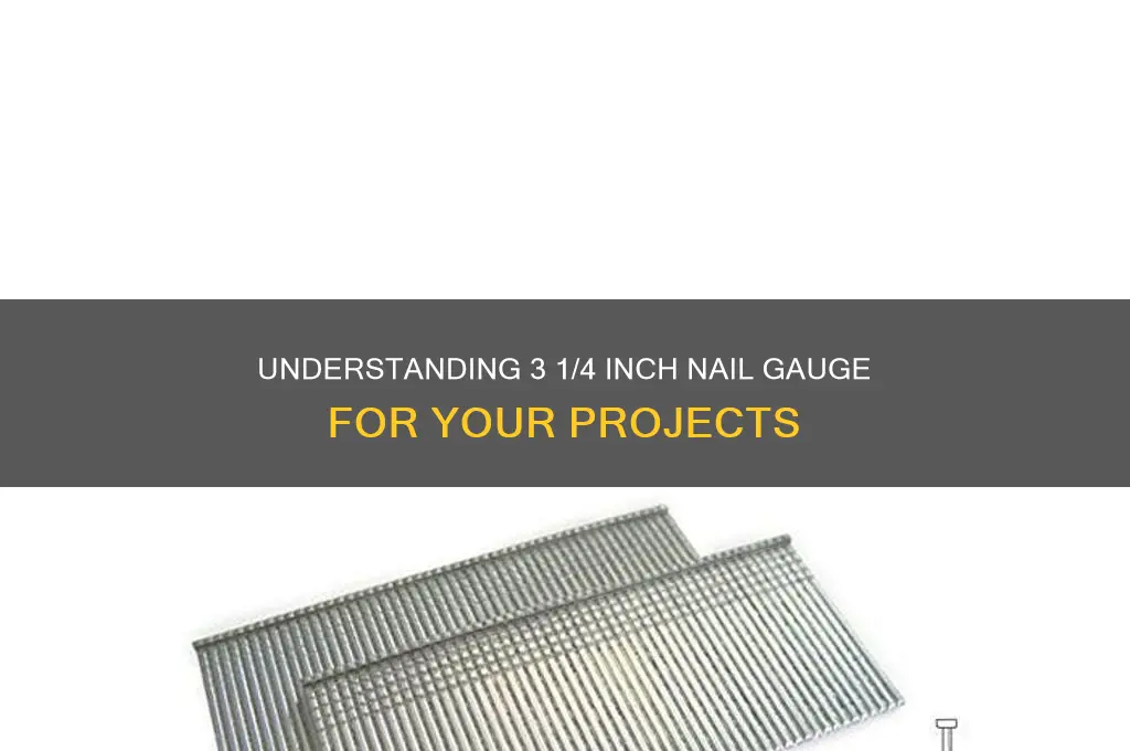 Understanding 3 1/4 Inch Nail Gauge For Your Projects | Nailicy