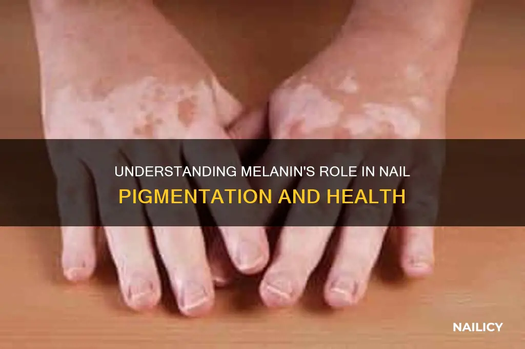 Understanding Melanin's Role In Nail Pigmentation And Health | Nailicy