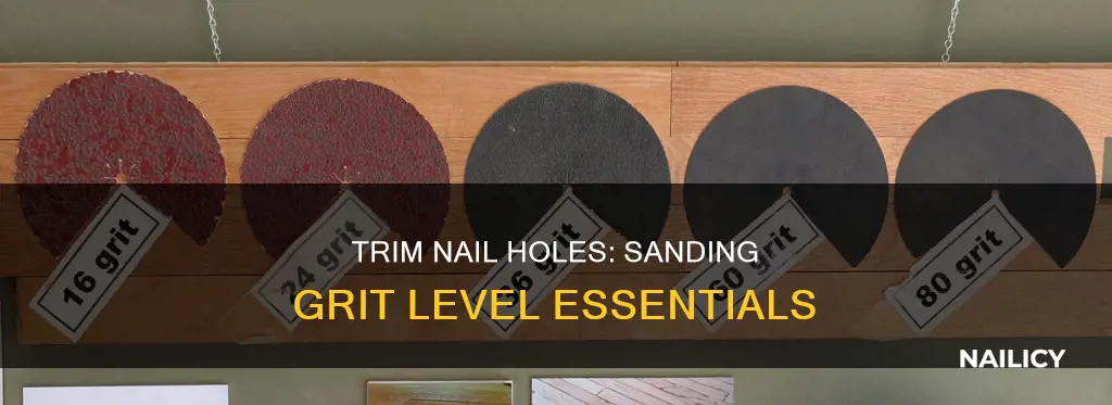 Trim Nail Holes: Sanding Grit Level Essentials | Nailicy