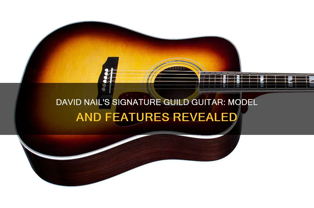 David Nail's Signature Guild Guitar: Model And Features Revealed | Nailicy
