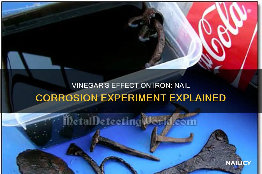 Vinegar's Effect On Iron: Nail Corrosion Experiment Explained | Nailicy