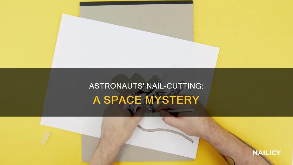 Astronauts' Nail-Cutting: A Space Mystery | Nailicy