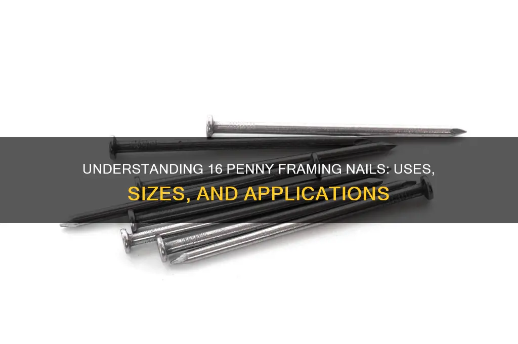 Understanding 16 Penny Framing Nails: Uses, Sizes, And Applications ...