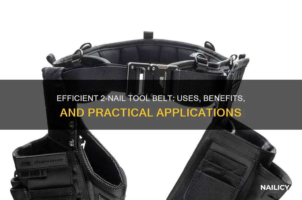 Efficient 2-Nail Tool Belt: Uses, Benefits, And Practical Applications ...