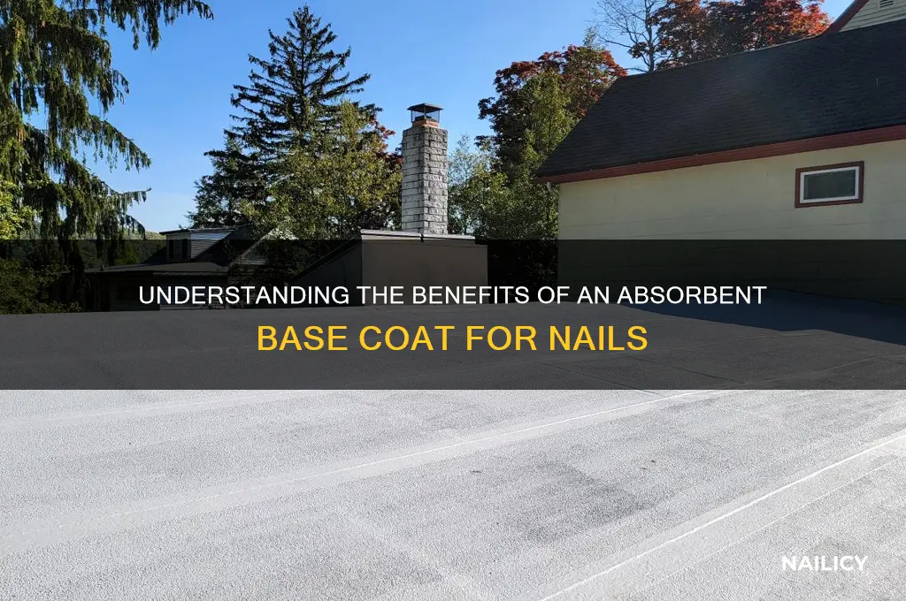 Understanding The Benefits Of An Absorbent Base Coat For Nails | Nailicy